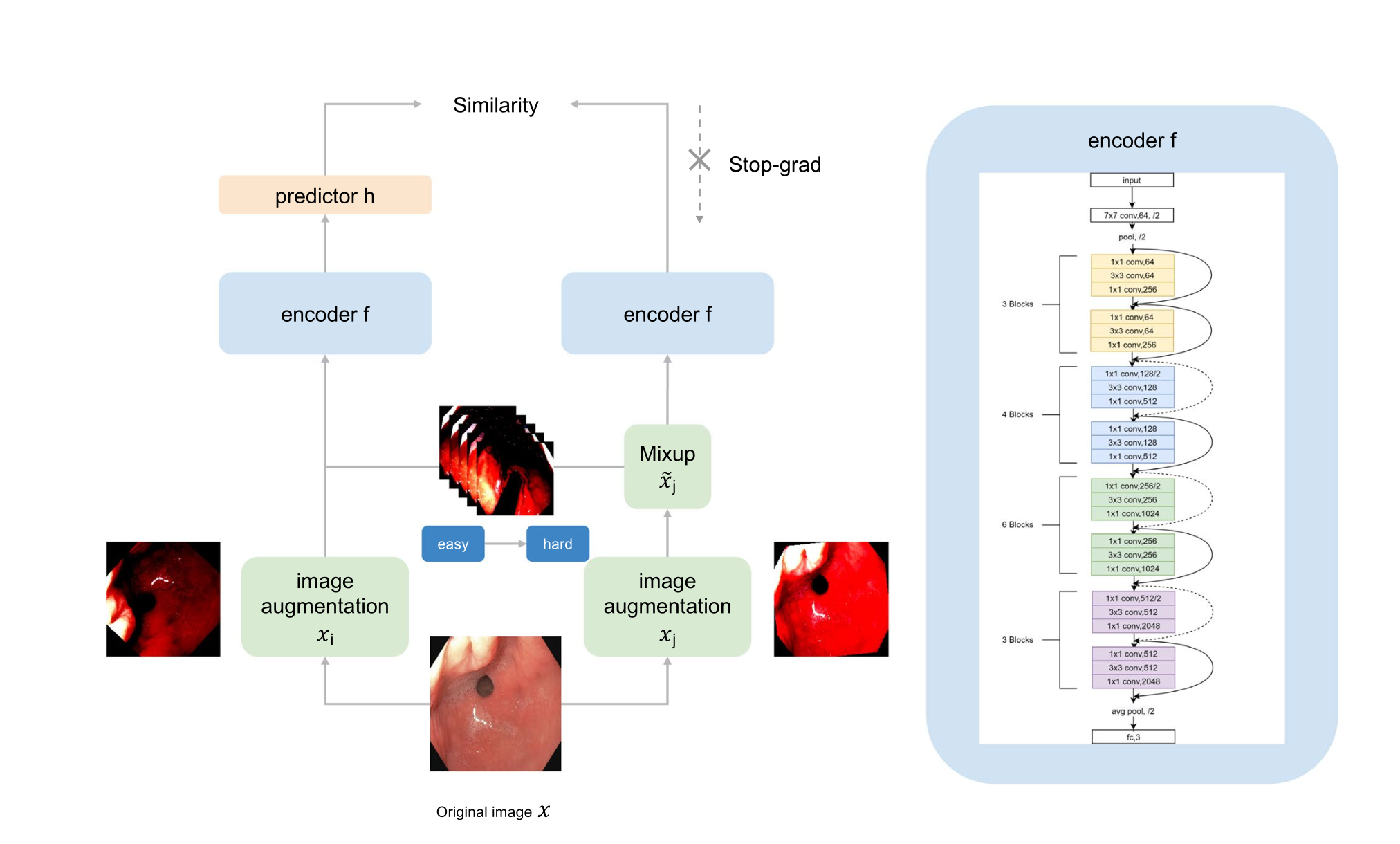 Sai Ashish Somayajula